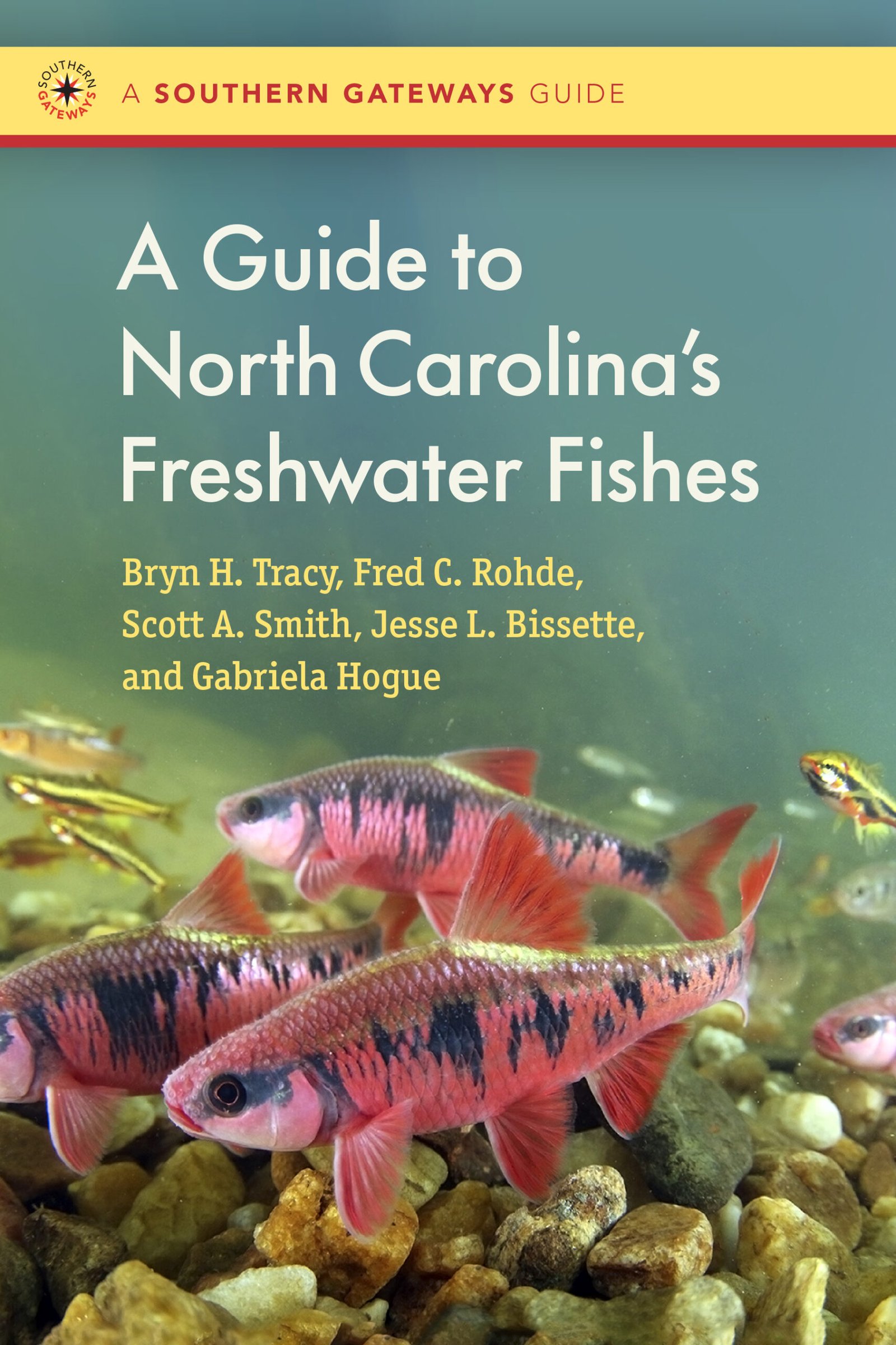 Home » NCFishes.com